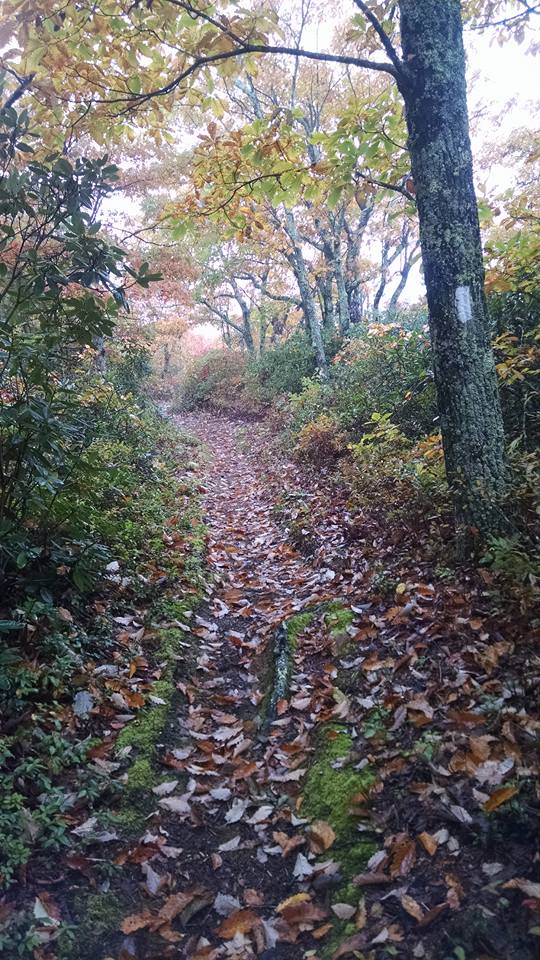 white-blaze – AppalachianTrailClarity